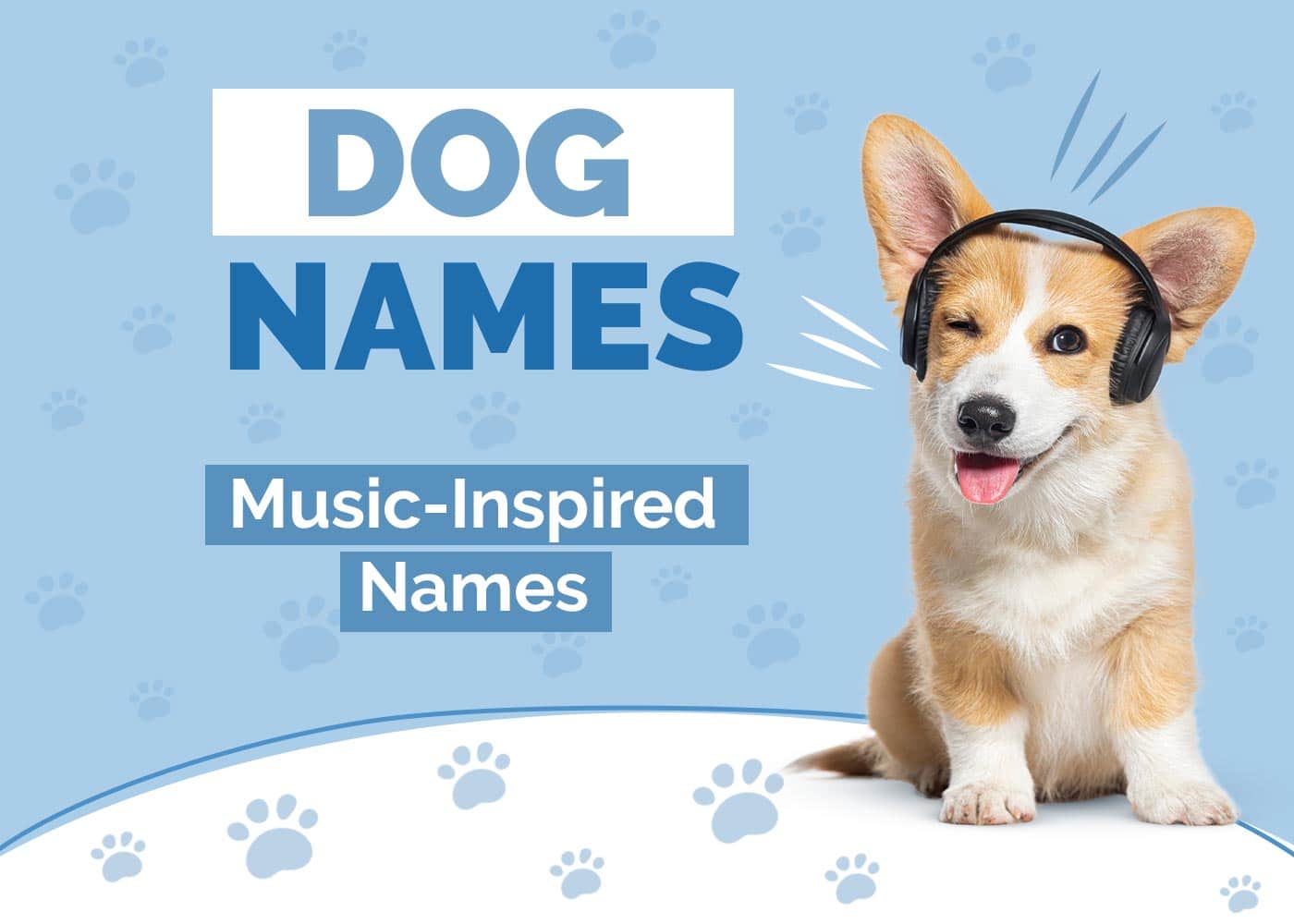 100 Music Inspired Dog Names Melodic Tuneful Ideas Hepper
