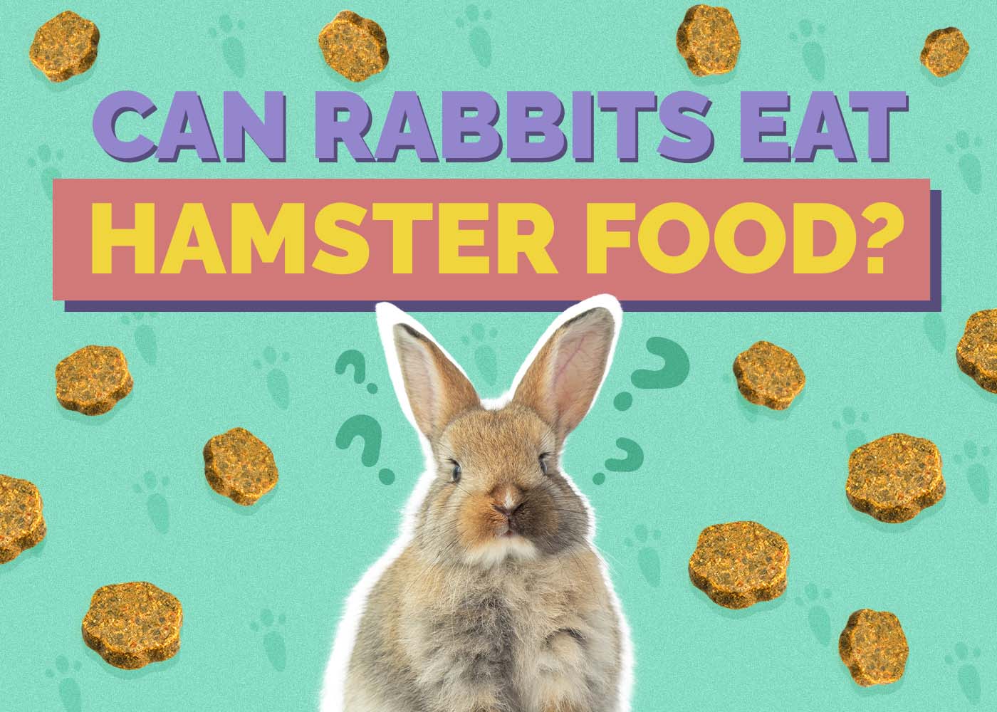 Can Rabbits Eat Hamster Food? Vet-Verified Nutrition Guide | Hepper Can Rabbits Eat Hamster Food? Vet-Verified Nutrition Guide | Hepper