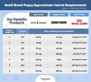How Much Should You Feed a Shih Tzu? (Puppy & Adult Feeding Chart) | Hepper