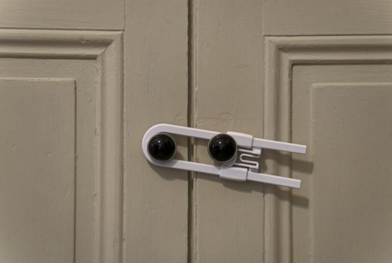 22 Ways to Dog-Proof Your Home (With Pictures) | Hepper