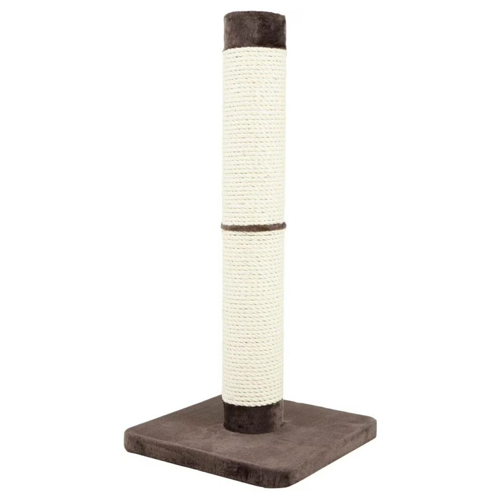 10 Best Cat Scratching Posts - 2025 Reviews & Top Picks | Hepper