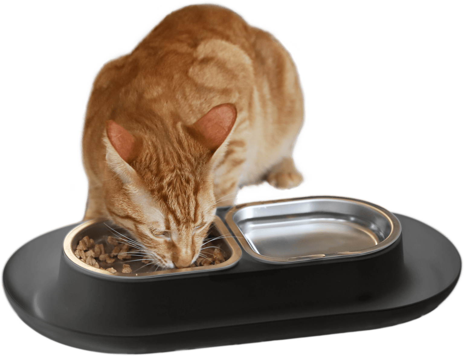 Shop Beautiful and Modern Cat Furniture | Hepper