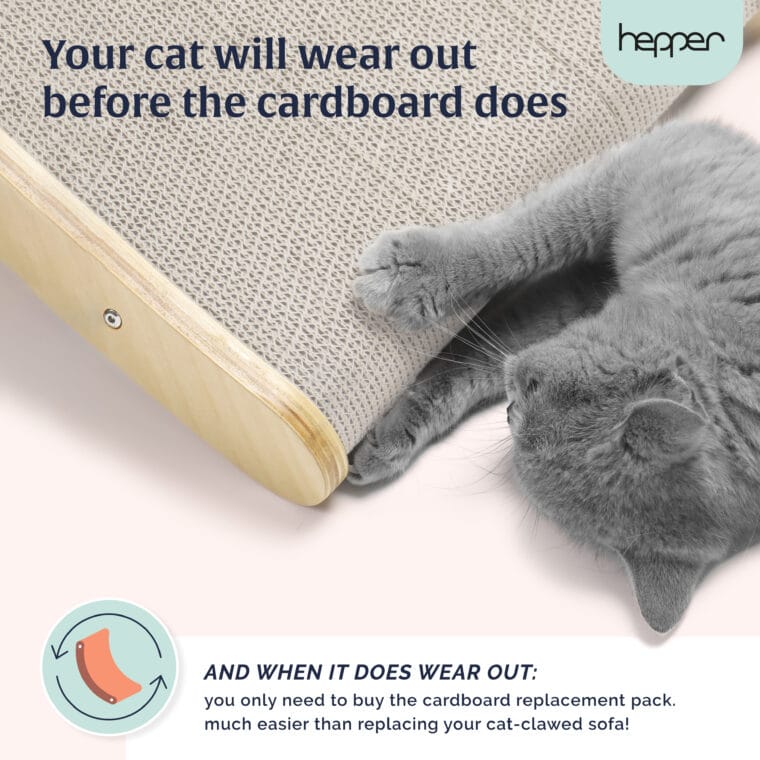 3-Angle Hepper Hi-Lo Scratcher | Hepper