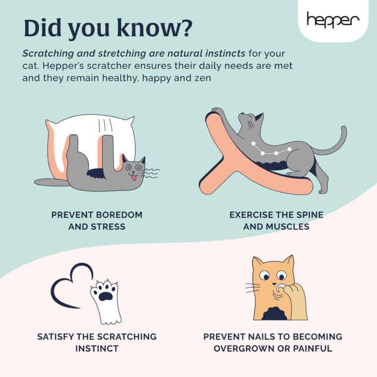 3-Angle Hepper Hi-Lo Scratcher | Hepper