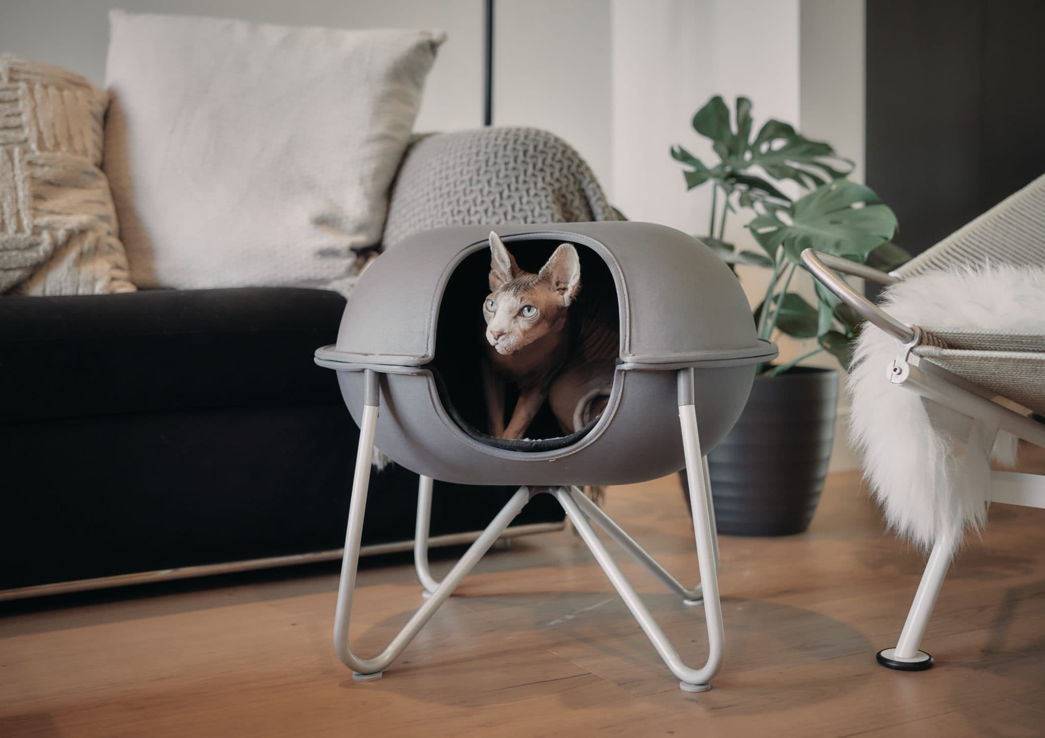 Hepper Pod Bed Comforting Elevated Tower | Hepper
