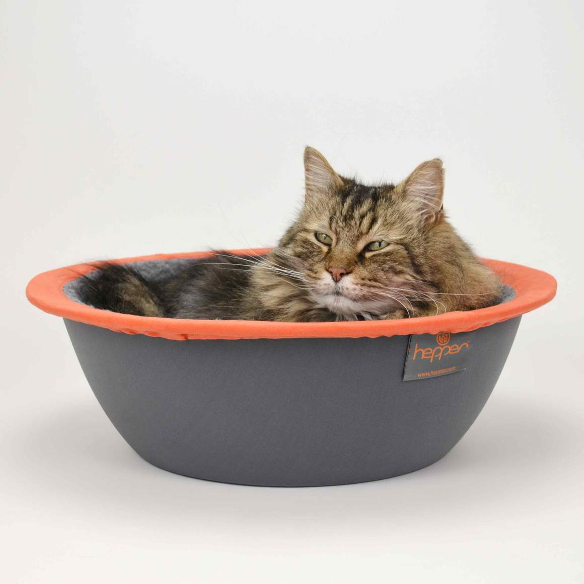 Hepper: Modern Cat Furniture that Cats & Humans Love
