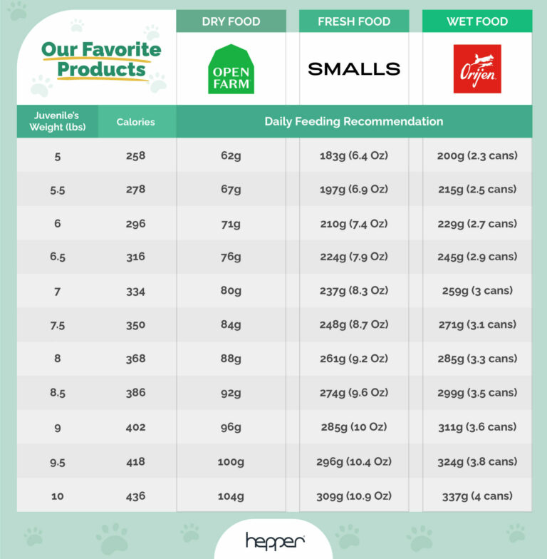 How Much Should I Feed My Cat? Vet Approved Feeding Chart | Hepper