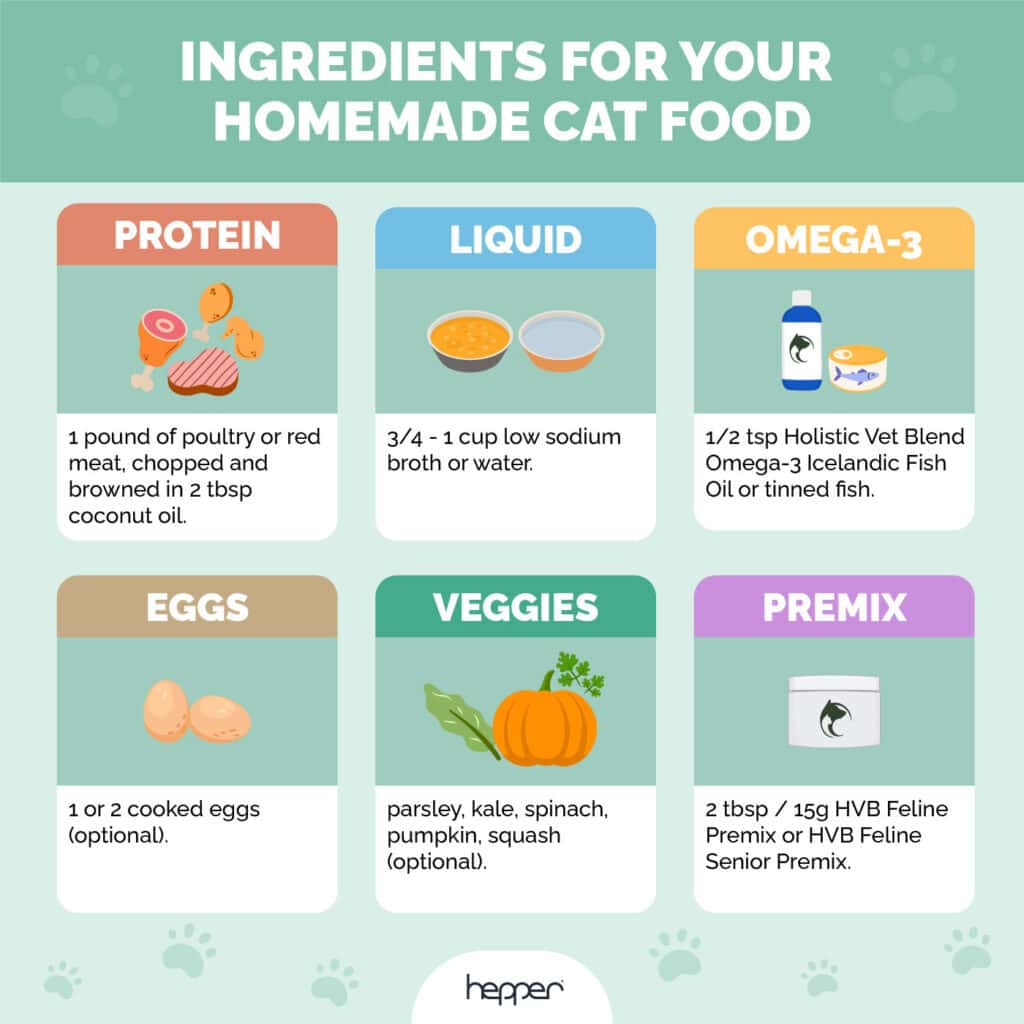 10 Vet-Approved Homemade Cat Food Recipes (Easy & Tasty!) | Hepper