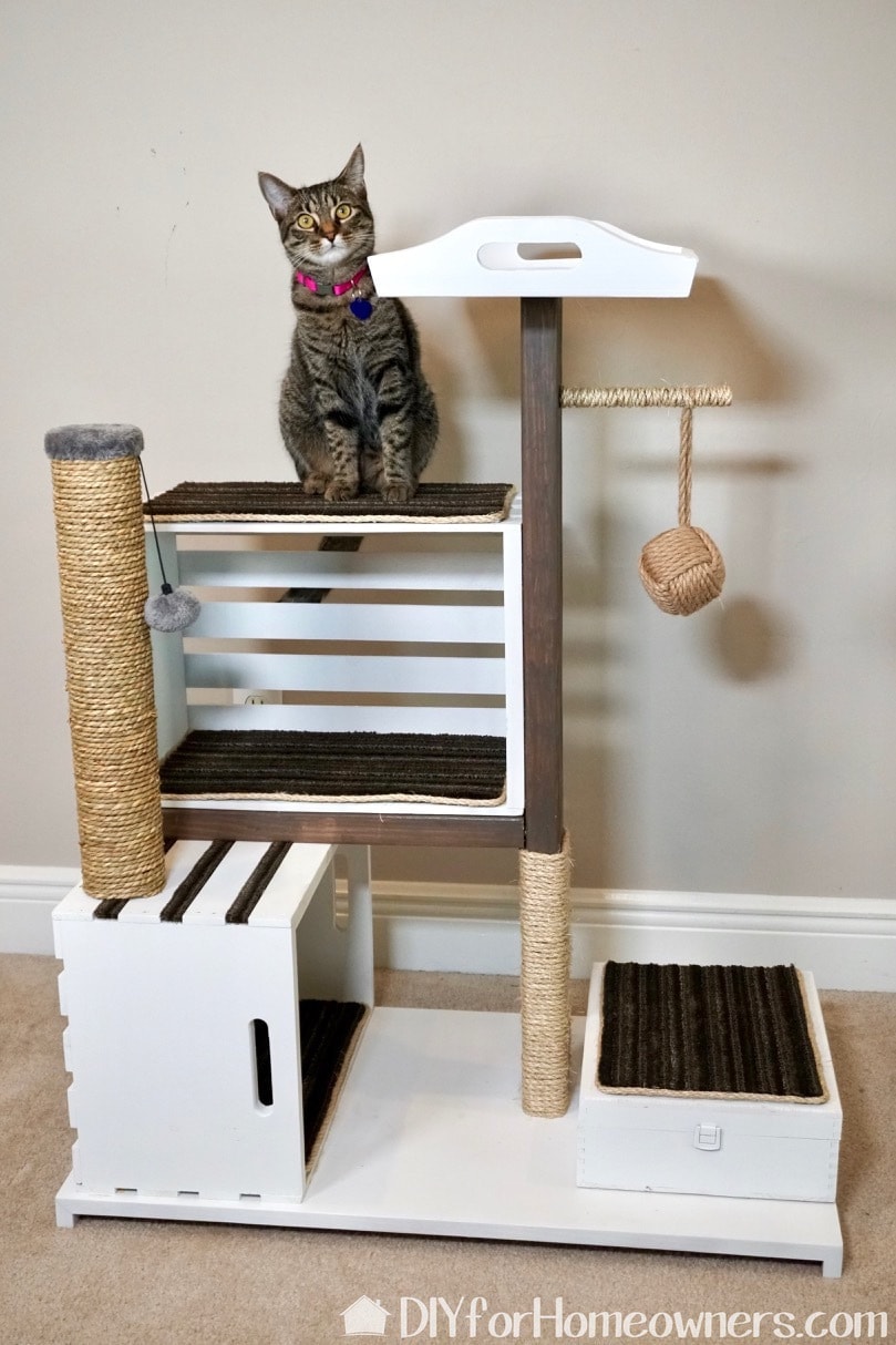 19 DIY Cat Tree Plans You Can Build Today (With Pictures) | Hepper