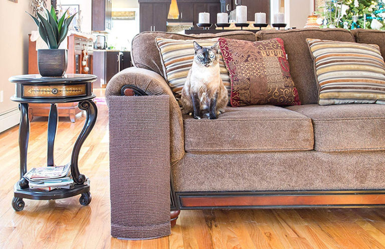 How to Keep Cat Claws Dull - Top Tips for Maintaining Your Cats Nails ...