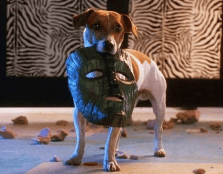 30 Most Famous Dogs From Movies & TV (With Pictures) | Hepper