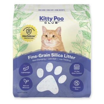10 Best Non-Clumping Cat Litters - 2025 Reviews & Top Picks | Hepper