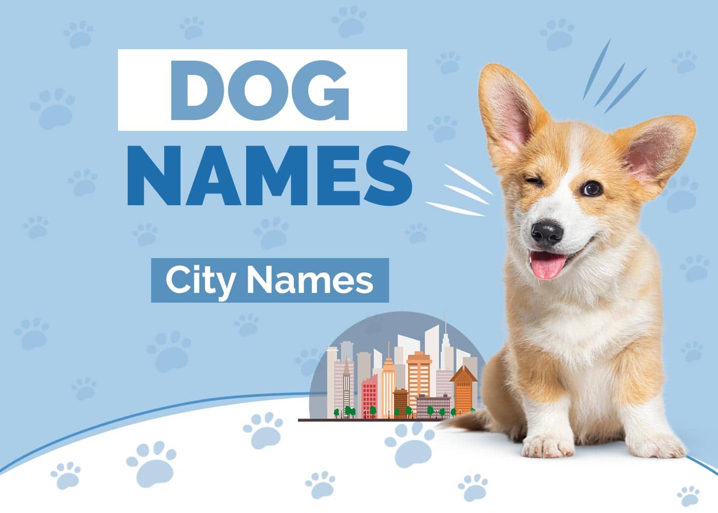 100 City Dog Names Geography Inspired Ideas for Pups Hepper