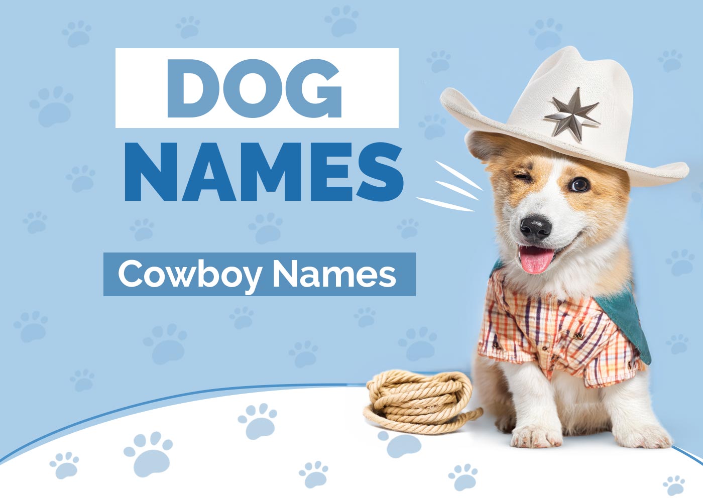 300+ Western Dog Names: Southern, Cowboy & Country Ideas | Hepper
