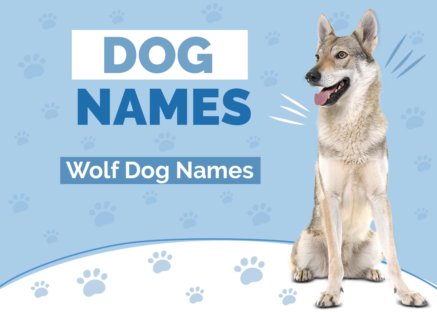 100+ Wolf Dog Names: Ideas for Wild & Fierce Dogs | Hepper
