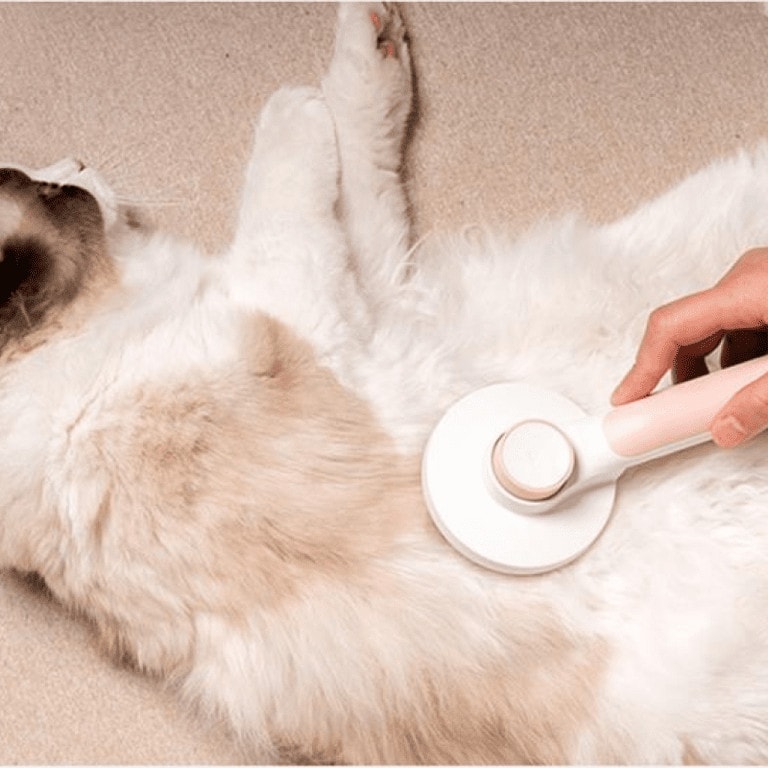 Deshedding Cat Brush (Comb Long or Short Hair) (With Free Shipping ...