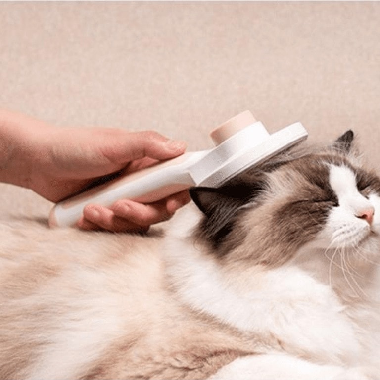 Deshedding Cat Brush (Comb Long or Short Hair) (With Free Shipping ...
