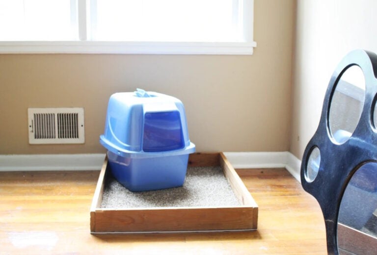 15 DIY Cat Litter Box Ideas You Can Make Today (With Pictures) | Hepper