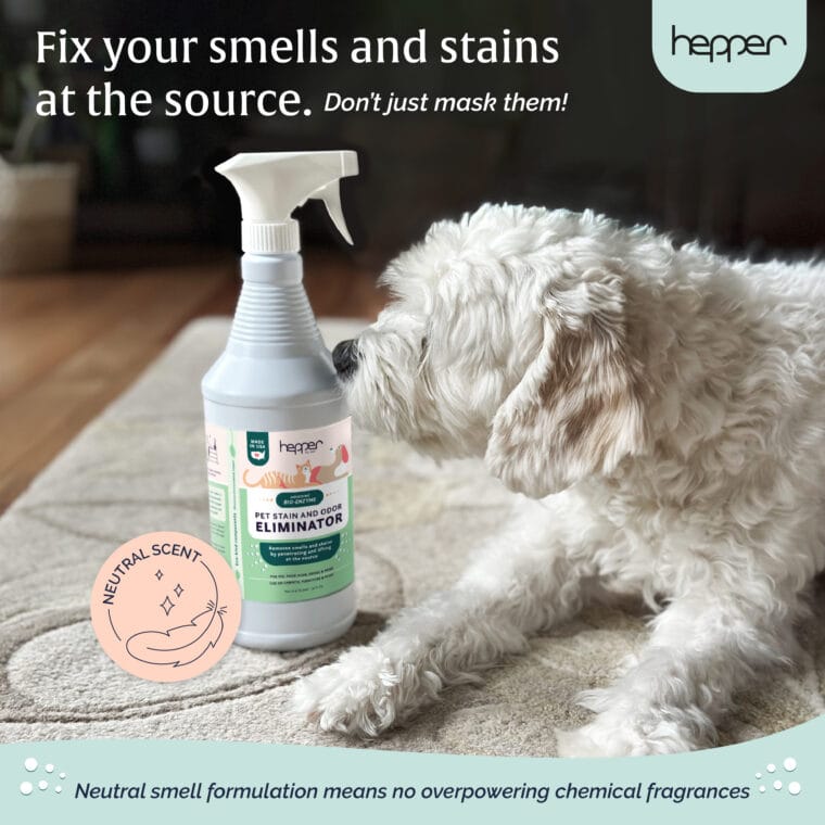 Hepper Advanced Bio-Enzyme Pet Stain & Odor Eliminator Spray | Hepper