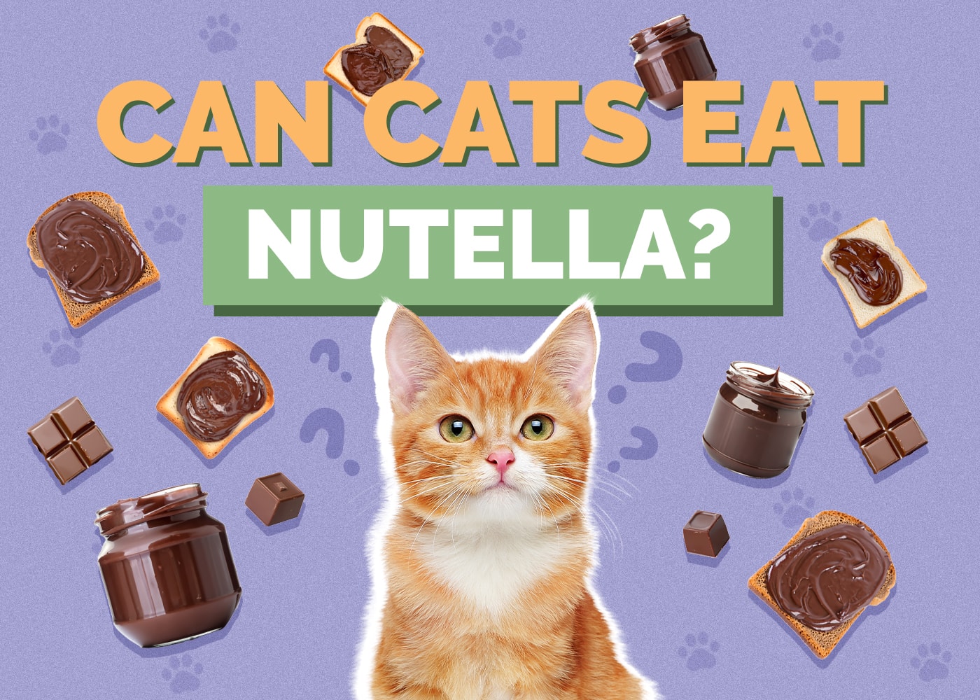 Wide Eyed Cat Nutella
