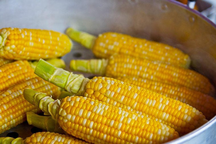 how-do-i-add-grain-to-a-grain-free-dog-food-what-to-know-hepper