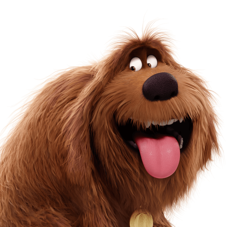 What Kind of Dog Is Duke From The Secret Life of Pets? Facts & Breed ...