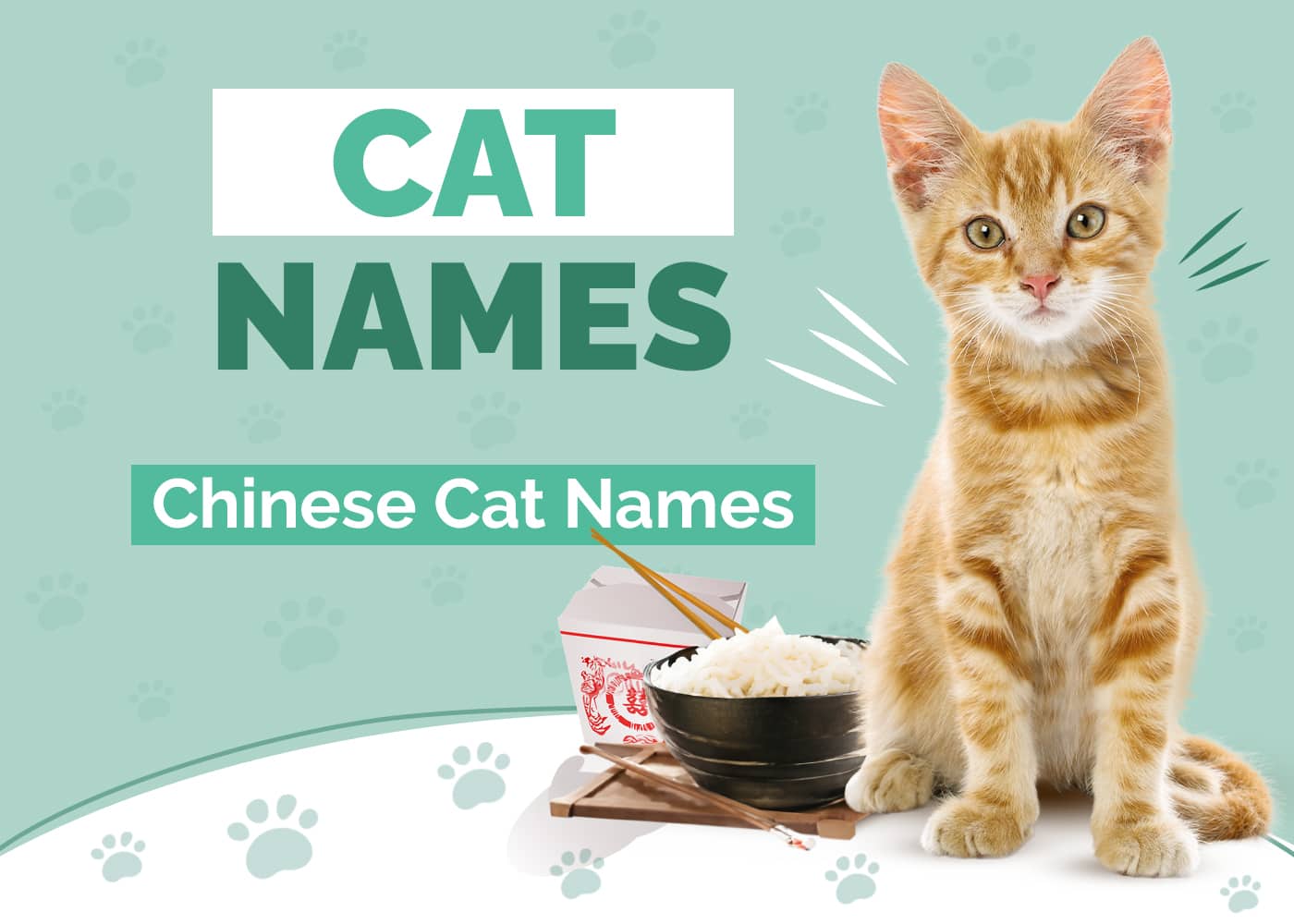 130+ Chinese Cat Names: Our Top Picks for Your Cat (With Meanings) | Hepper
