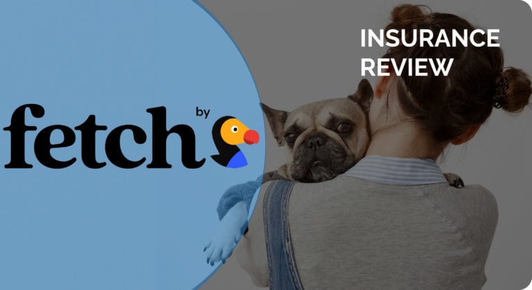 Fetch by The Dodo Pet Insurance Review 2022: Pros, Cons, & Verdict ...
