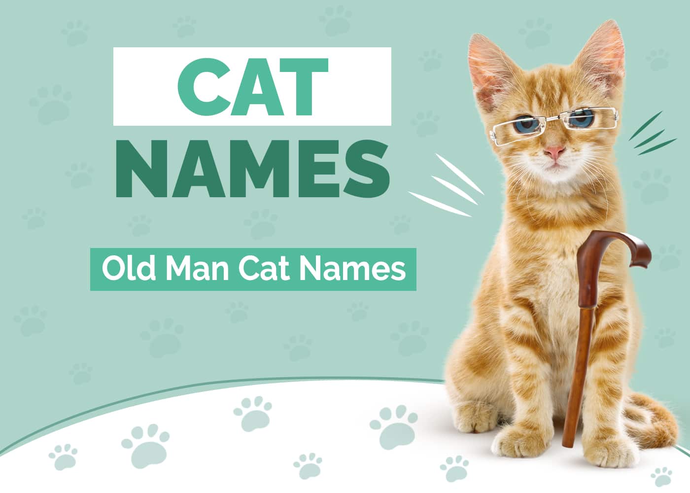 127 Old Man Names For Cats Our Top Picks For Your Adorable Cat Hepper 127-old-man-names-for-cats-our-top-picks-for-your-adorable-cat-hepper