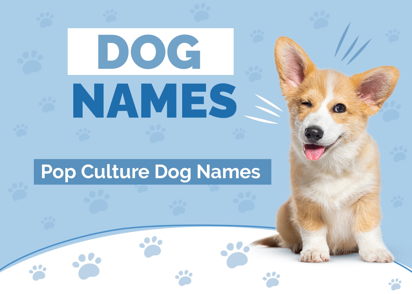 Pop culture dog names store