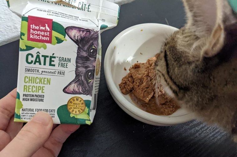 The Honest Kitchen Cat Food Review 2023: Ý kiến chuyên gia của chúng ...