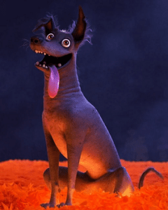 What Breed Is the Mexican Hairless Dog from Coco? Cartoon Dogs ...