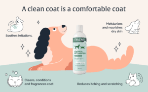 Colloidal Oatmeal Pet Shampoo (Aloe and Cucumber Scent) | Hepper