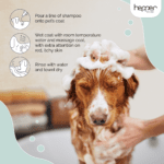 Colloidal Oatmeal Pet Shampoo (Aloe and Cucumber Scent) | Hepper
