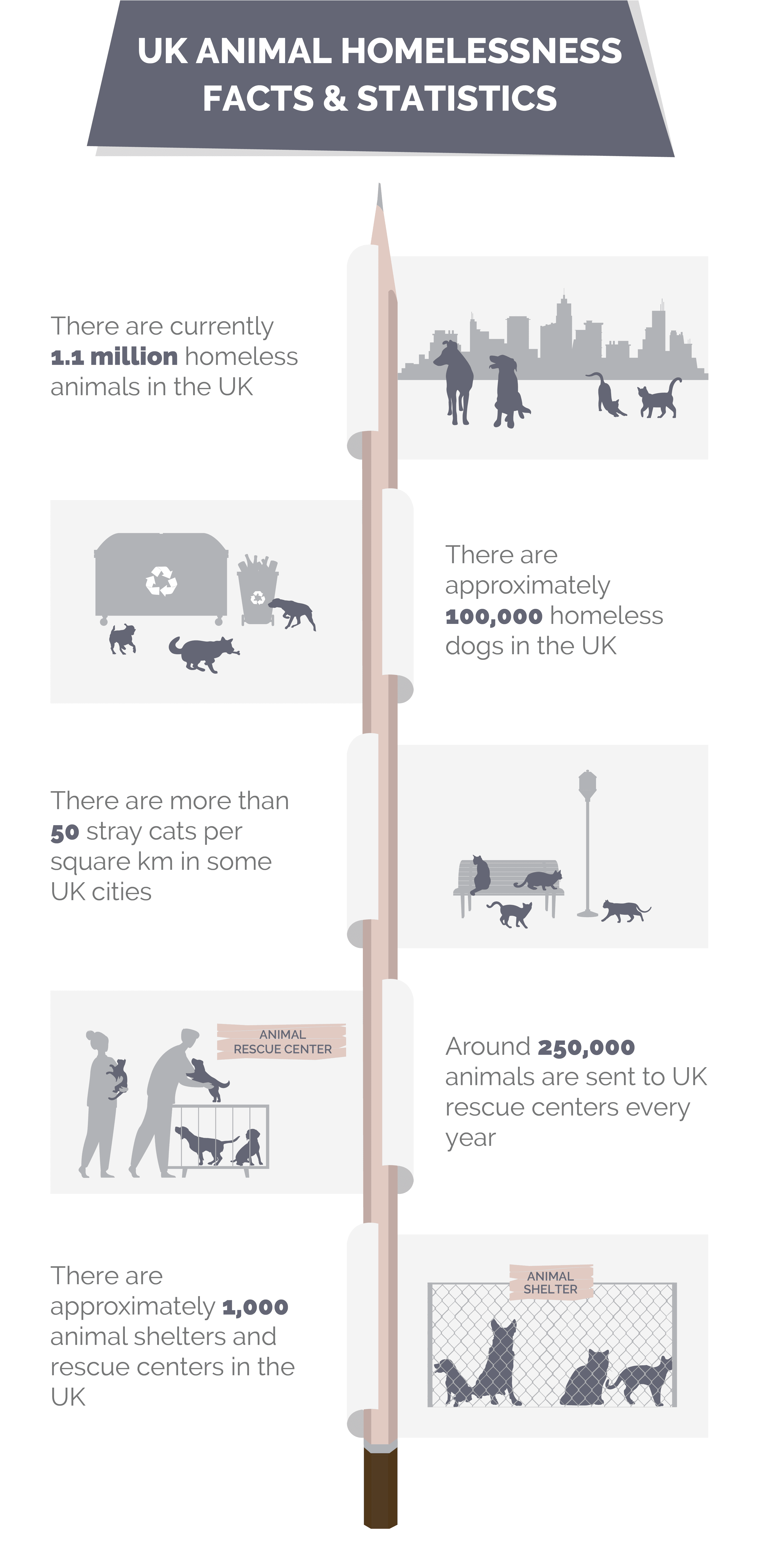 How Many Dogs In The Uk Are Homeless