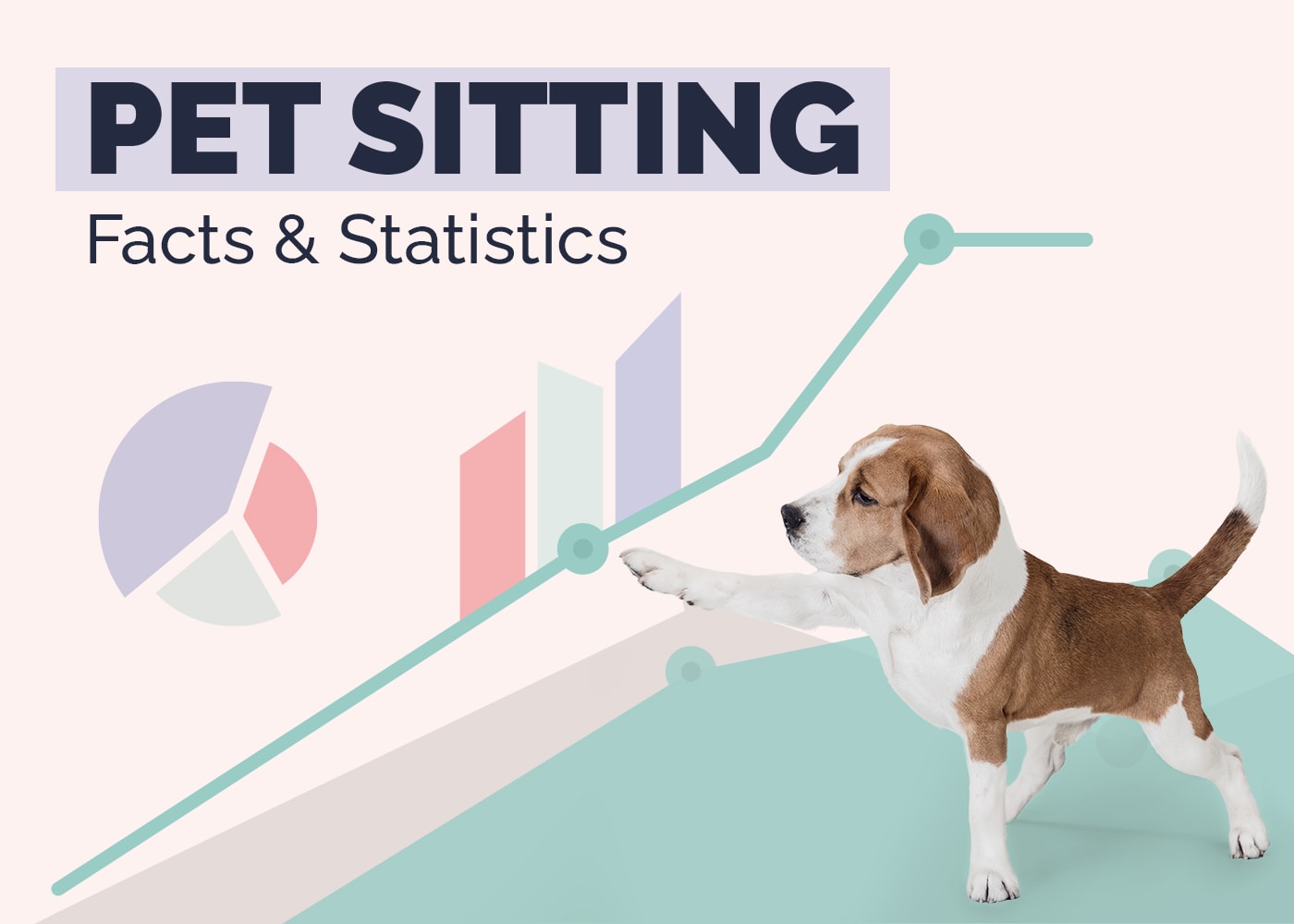 19 Surprising Pet Sitting Statistics & Trends (2025 Update) | Hepper