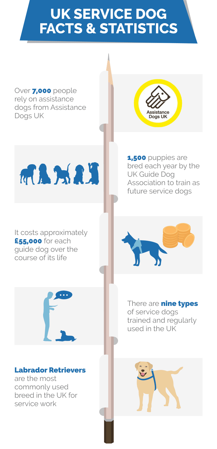 How Much Does It Cost To Train A Guide Dog Uk