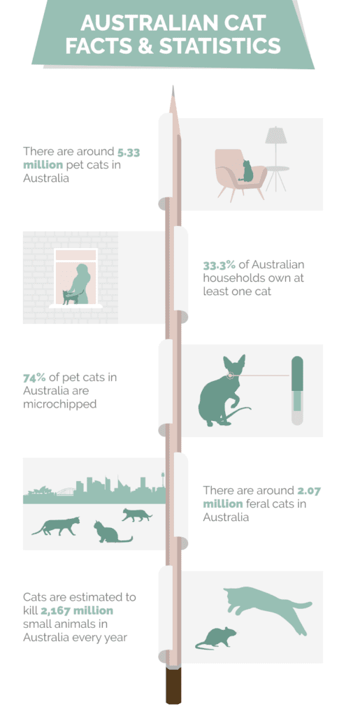 20 Incredible Australian Cat Statistics & Facts: Updated in 2025 | Hepper