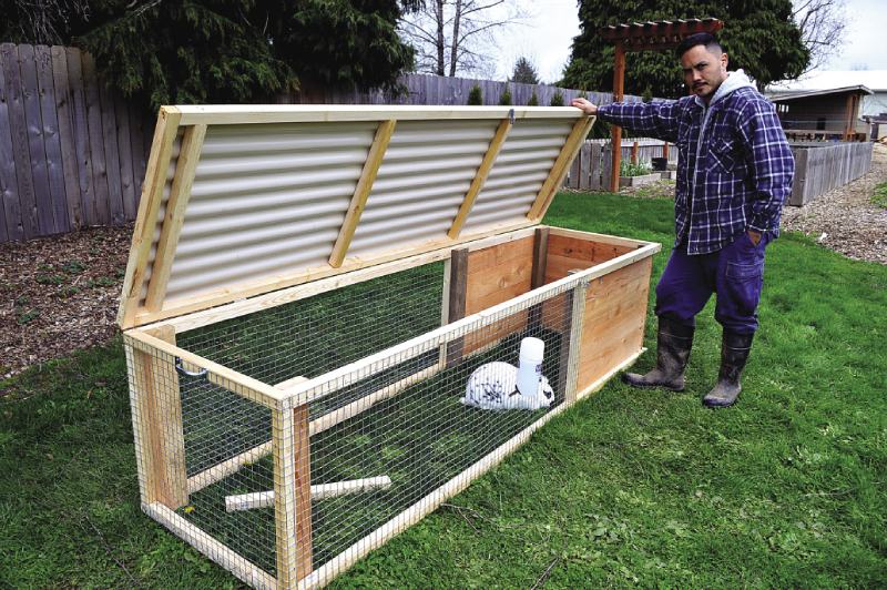 6 Cool DIY Rabbit Run Plans You Can Make Today (with Pictures) | Hepper