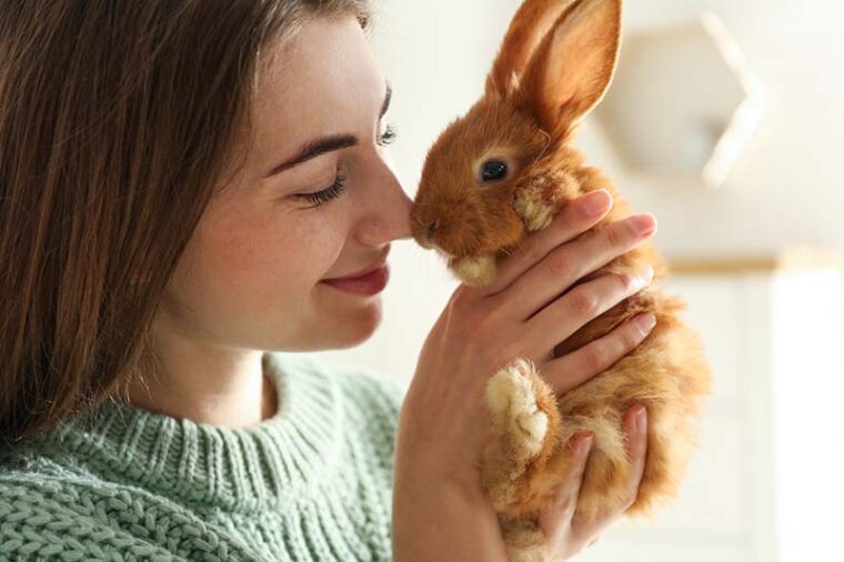 10 Friendliest Rabbit Breeds (With Info & Pictures) | Hepper