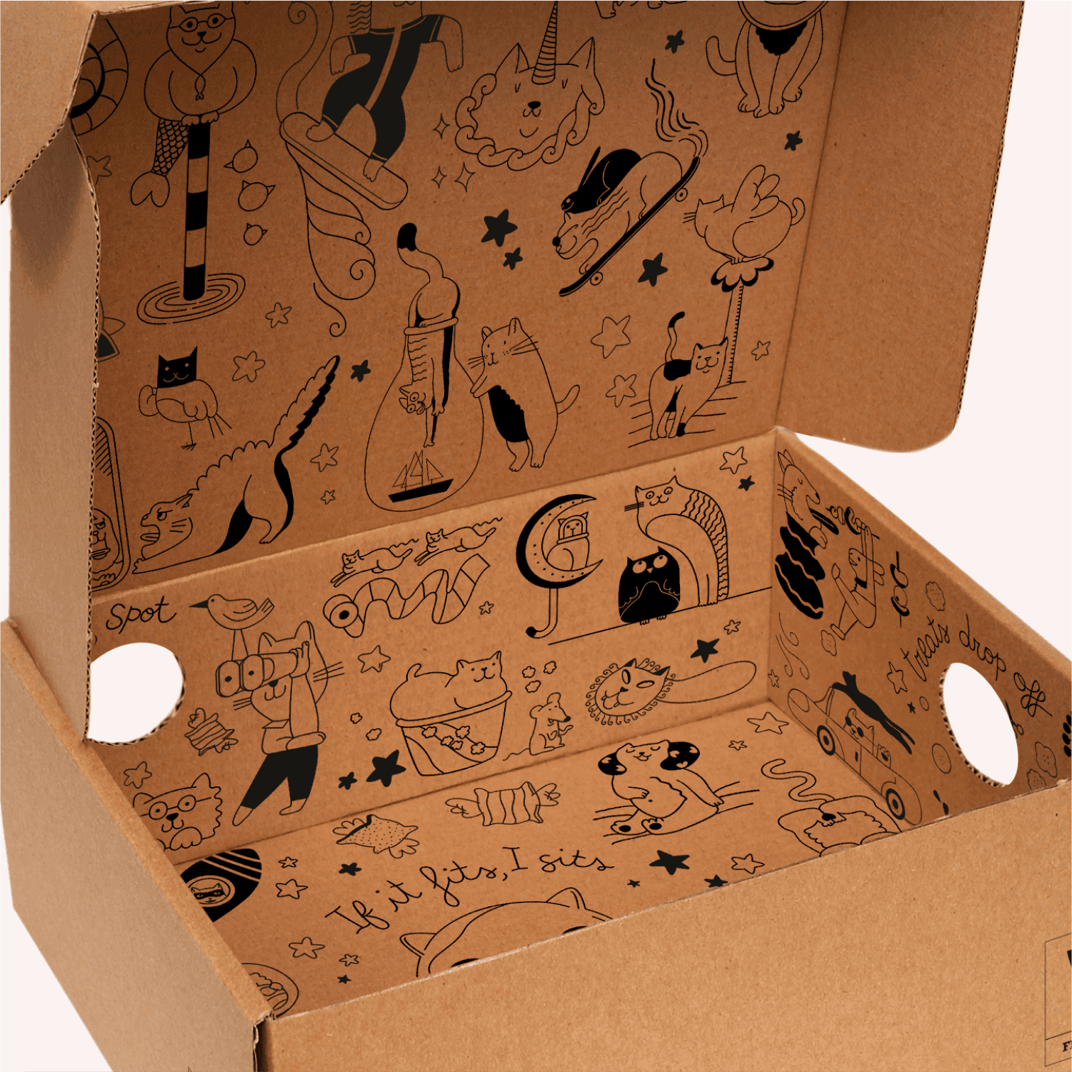 Hepper "Just A Box" Cardboard Box Cat Bed - What They Really Want! | Hepper