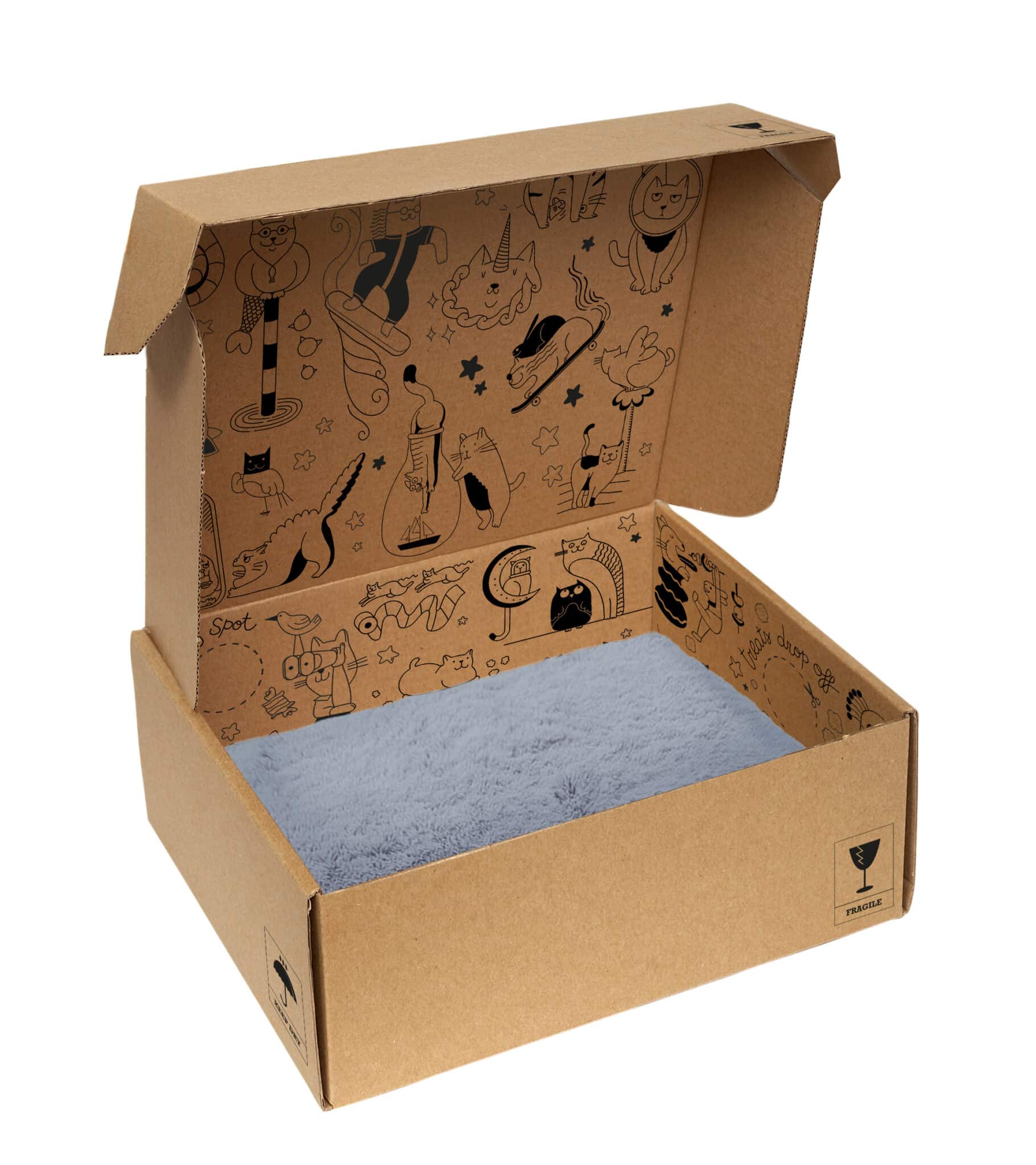 "Just A Box" Cardboard Box Cat Bed - What They Really Want! | Hepper
