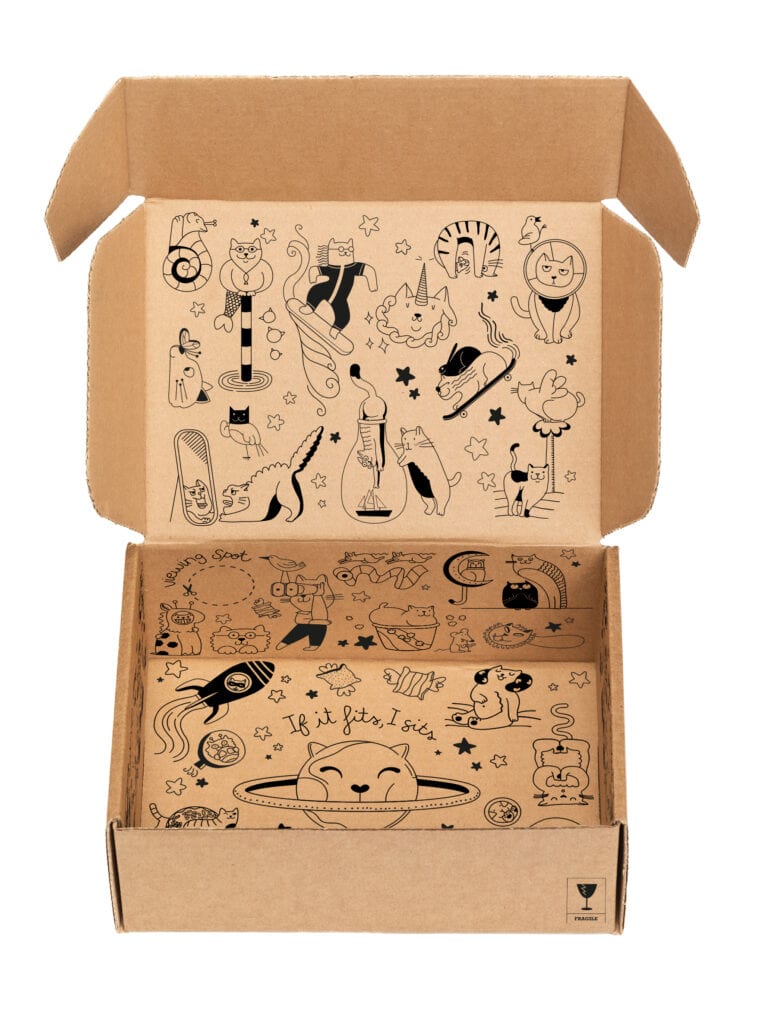 "Just A Box" Cardboard Box Cat Bed - What They Really Want! | Hepper