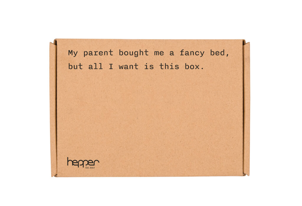 "Just A Box" Cardboard Box Cat Bed - What They Really Want! | Hepper