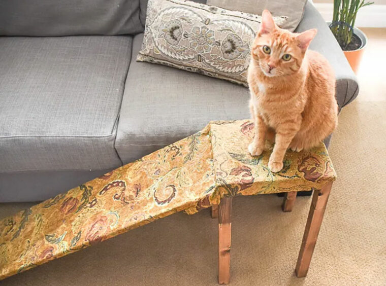 10 DIY Cat Ramp Plans You Can Make Today (With Pictures) | Hepper