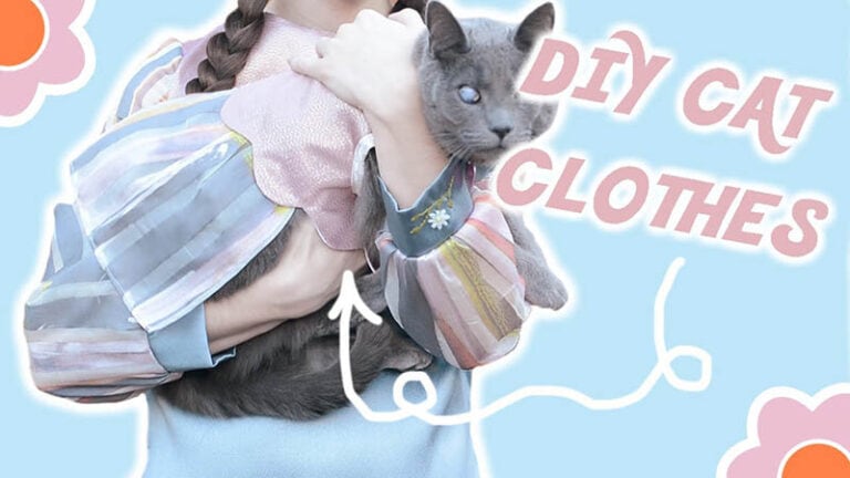 15 DIY Cat Clothes - Plans & Patterns You Can Make Today (With Pictures) | Hepper