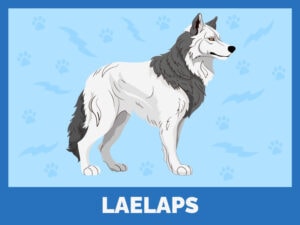 10 Fascinating Mythical Dogs (With Illustrations) | Hepper