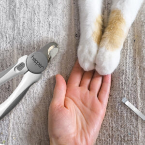 Hepper: Pet Supplies Loved By Cats, Dogs & Veterinarians