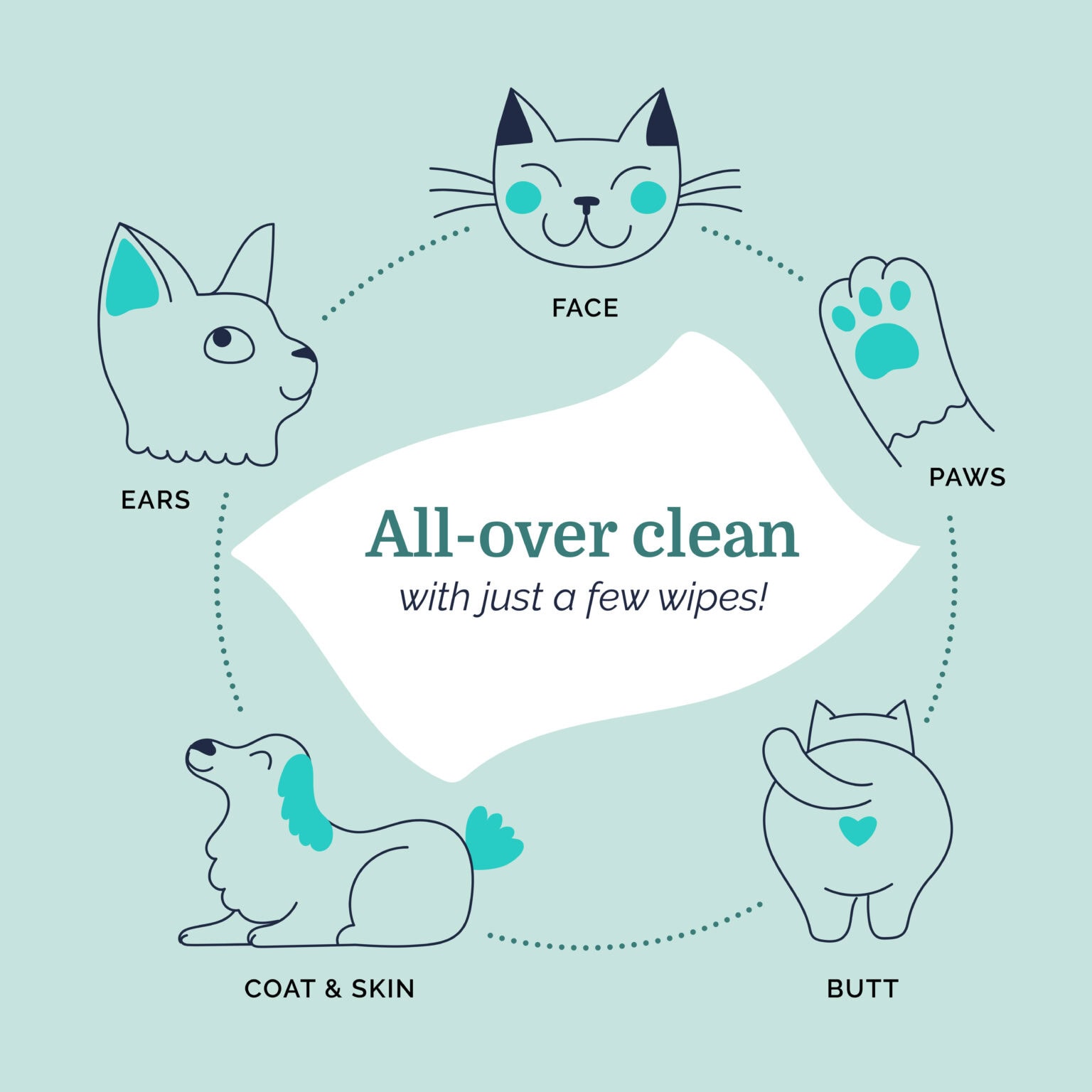 Hepper Pet Wash Wipes - Keeps Your Friend Fresh | Hepper