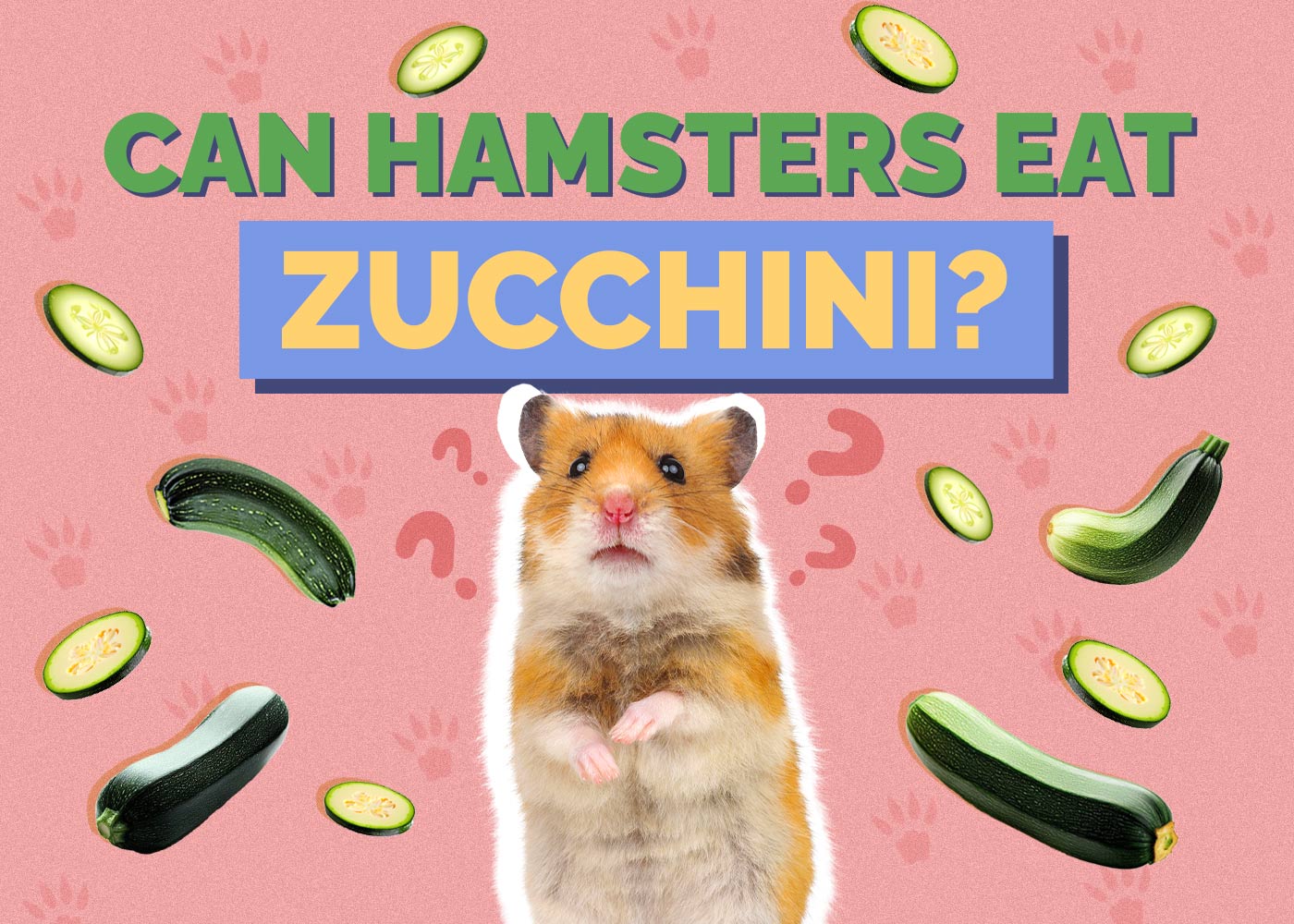 Do Hamsters Eat Zucchini at Carrie Booker blog